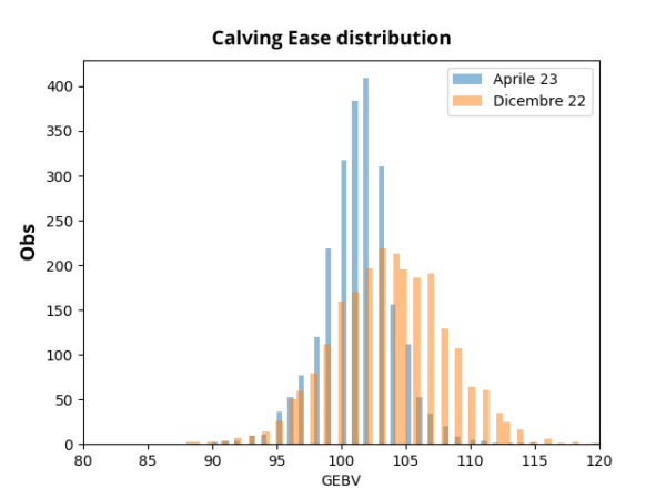 Calving Ease Index — Intermizoo News