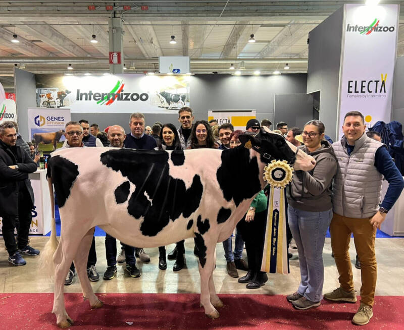 Bel Boeing Gondola – Cremona International Dairy Show — Intermizoo News