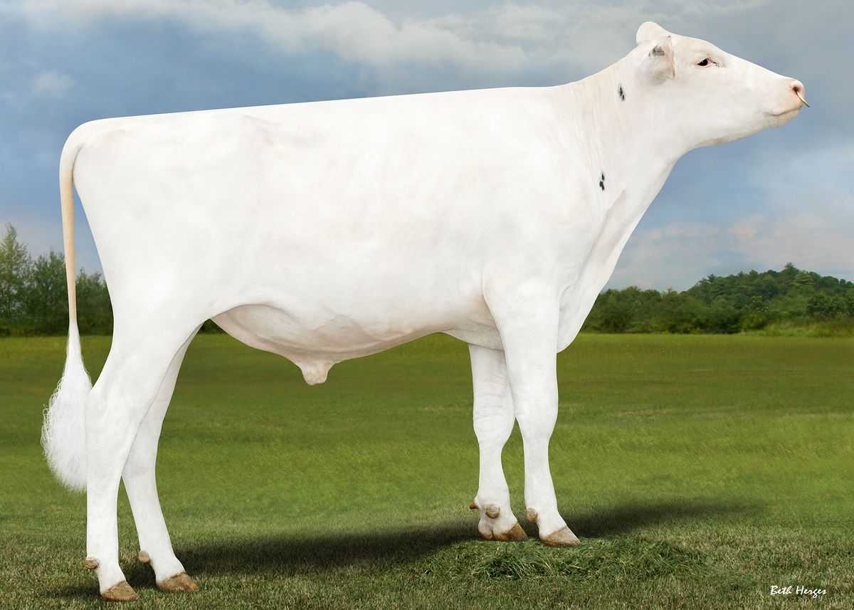 Eskdale PP RF — Intermizoo